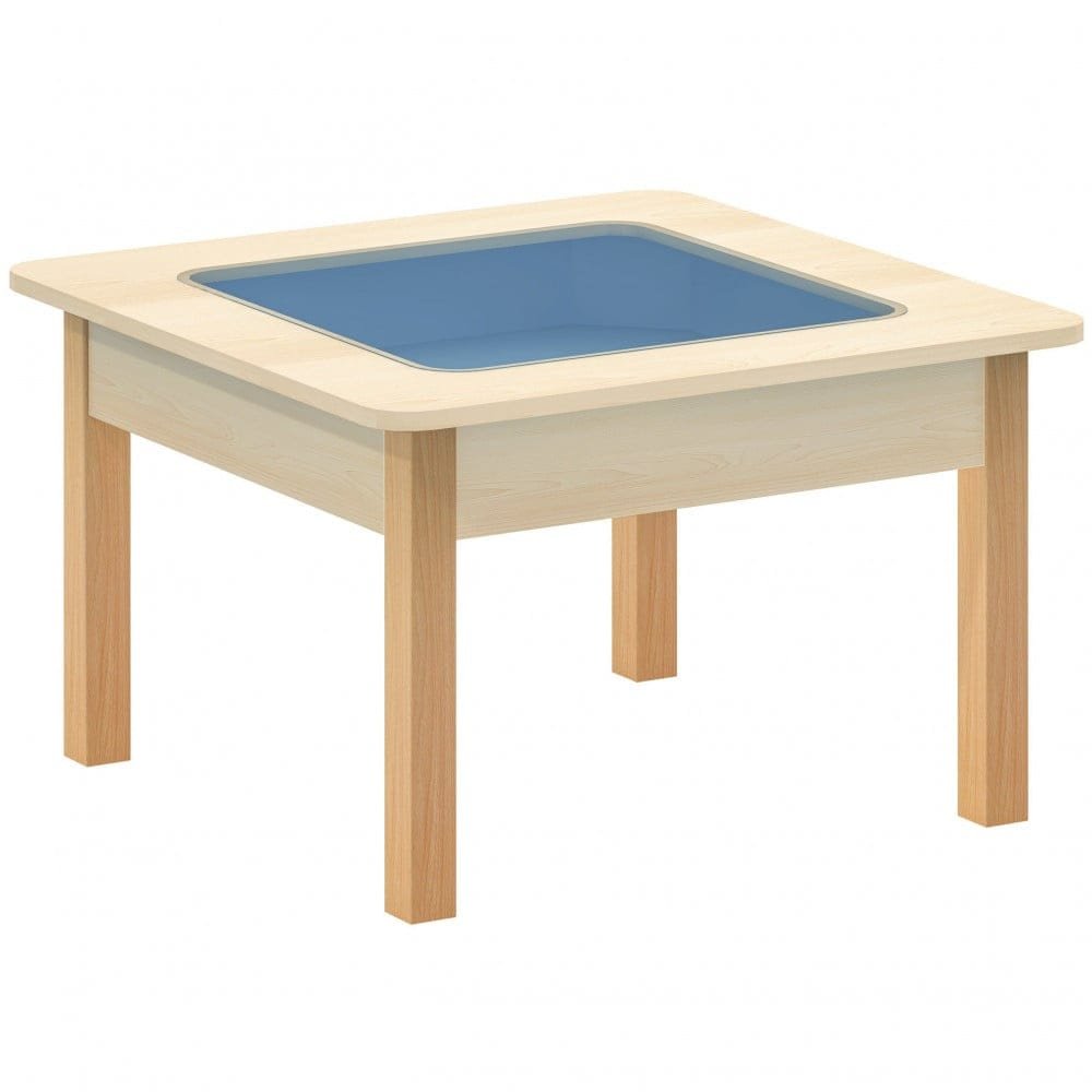 Science Table - Observation – MSSC Education